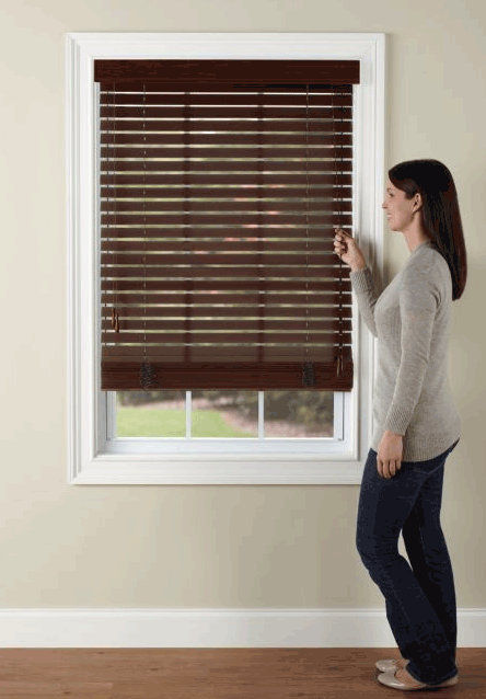 Levolor 2 1/2' Faux Wood Whites